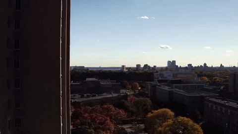 Uw Milwaukee GIFs - Get the best GIF on GIPHY