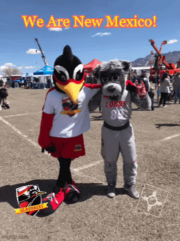 University Of New Mexico GIFs - Get the best GIF on GIPHY