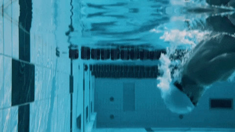Pool Rotate GIF by AIRFIT - Find & Share on GIPHY