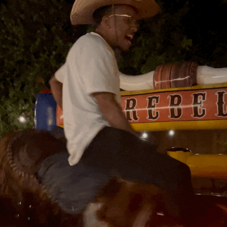 Bull Riding GIFs - Find & Share on GIPHY