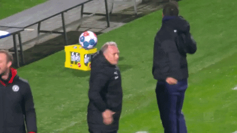 Boller GIFs - Get the best GIF on GIPHY