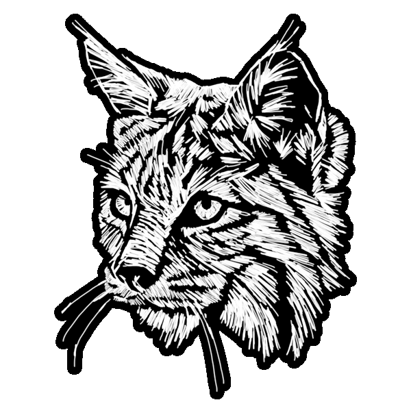 Red Dead Redemption 2 Rdr2 Sticker by Rockstar Games for iOS & Android ...