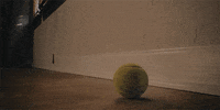 Marcel The Shell Gif