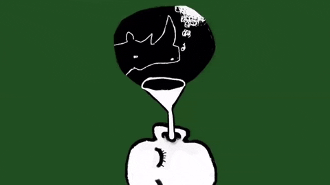 Funnel Through GIFs - Get the best GIF on GIPHY