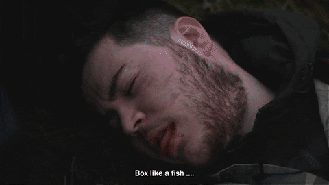 Boxed Like A Fish GIFs - Get the best GIF on GIPHY