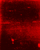 Film Texture GIF by hoppip - Find & Share on GIPHY