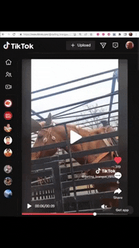 Twitter-marketing-trends GIFs - Get the best GIF on GIPHY