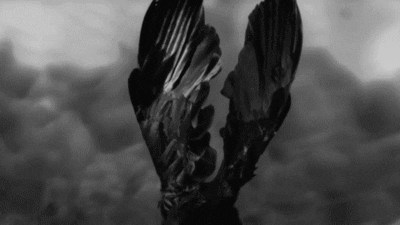 Fallen Angel Gif Tumblr