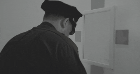 Comedy Wtf GIF by Tomorrow Television - Find & Share on GIPHY