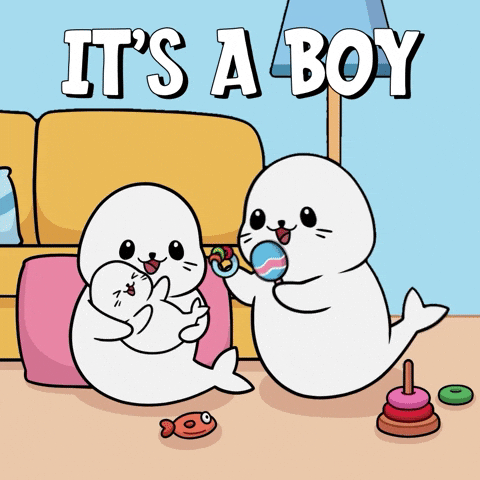 Baby Harp Seal Gif