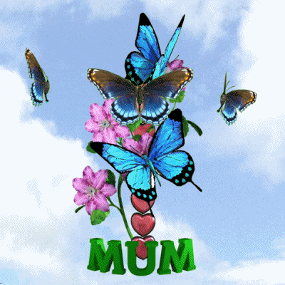 Blue Butterflies GIFs - Get the best GIF on GIPHY