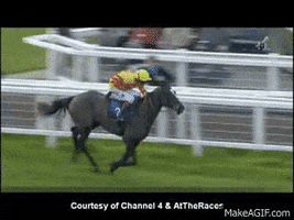 Horse Racing GIFs - Find & Share on GIPHY