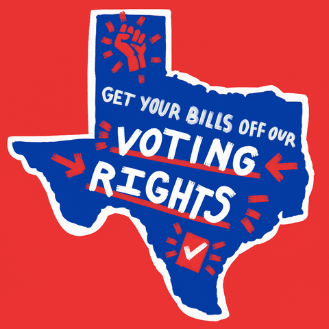 Right To Vote Voting Rights GIF by Creative Courage - Find & Share on GIPHY