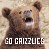 The-grizzlies GIFs - Get the best GIF on GIPHY