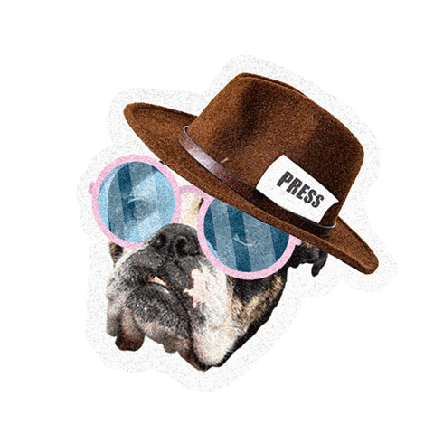 THE YAY GIFs on GIPHY - Be Animated