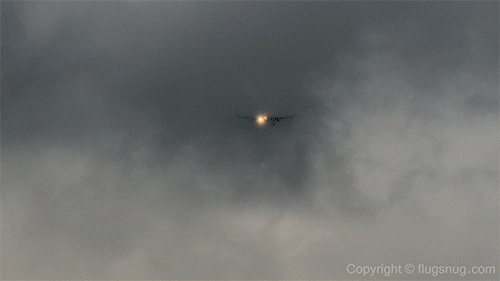 Planes Aviation GIF by Digg - Find & Share on GIPHY