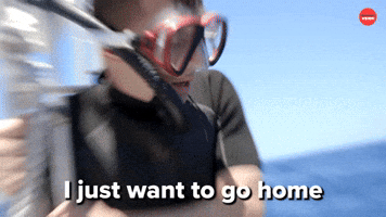 I Want To Go Home Clips - Find & Share on GIPHY