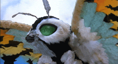 Rebirth Of Mothra 2 GIFs - Get the best GIF on GIPHY