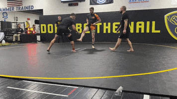 Droogs MMA and Jiu Jitsu GIFs on GIPHY - Be Animated
