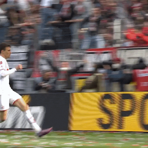 1 Fc Cologne Football GIF by 1. FC Köln - Find & Share on GIPHY
