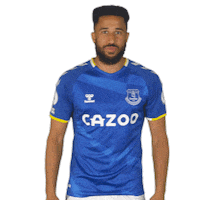 21/22 - Stickers 🤩 by Everton Football Club | GIPHY