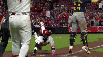 2024 MLB Season GIFs on GIPHY - Be Animated