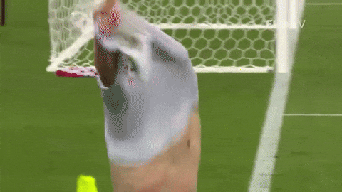 Xherdan Shaqiri GIFs - Get the best GIF on GIPHY