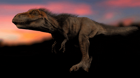 T Rex Dinosaur GIF by American Museum of Natural History - Find & Share ...