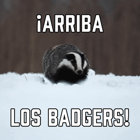 Badger-meter GIFs - Get the best GIF on GIPHY