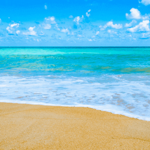 Beach Chilling GIF - Find & Share on GIPHY