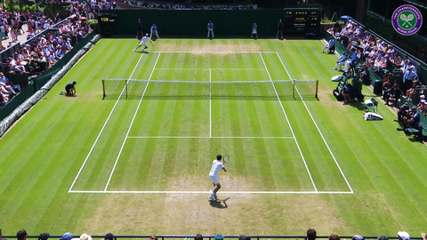 Tennis Fail GIF by Wimbledon - Find & Share on GIPHY