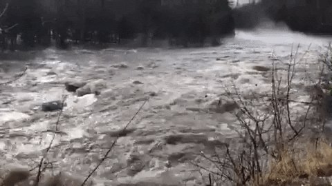 Clean Water GIF by Adirondack Council - Find & Share on GIPHY