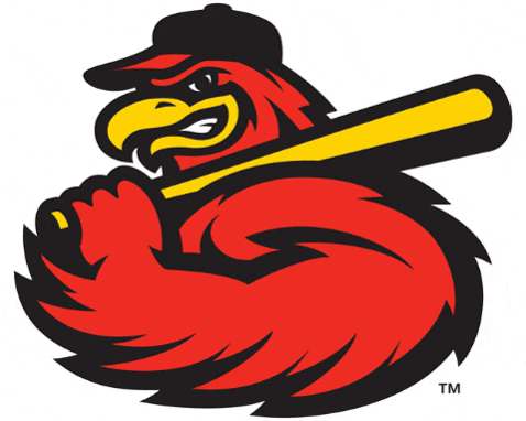 Roc Red Wings GIFs - Get the best GIF on GIPHY