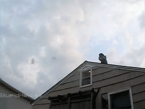 Bad Friends GIFs - Get the best GIF on GIPHY