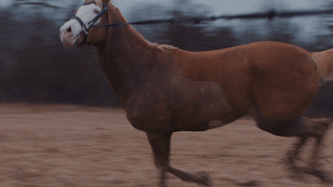 Music Video Running GIF by Grace Ives - Find & Share on GIPHY