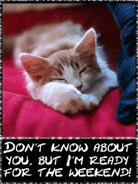 Happy Friday Cat Gif