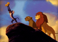 Lion King Circle Of Life Gif