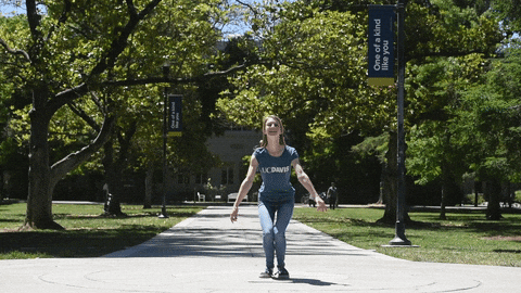 California-girls-be-like GIFs - Get the best GIF on GIPHY