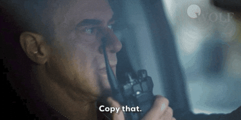 Dont Copy GIFs - Get the best GIF on GIPHY