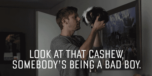 House-of-cashew GIFs - Get the best GIF on GIPHY