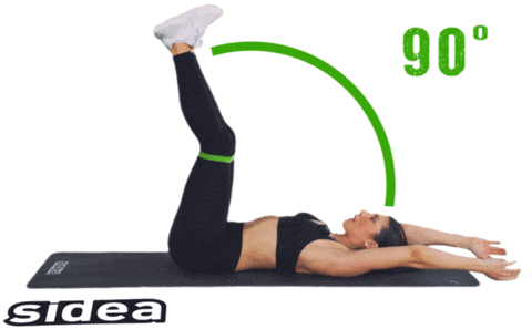 Vertical Leg Crunches Gif