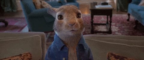 Peter Rabbit GIFs - Find & Share on GIPHY