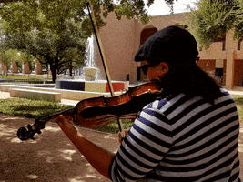 Playing Violin GIFs - Find & Share on GIPHY