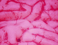 Funny-eye GIFs - Get the best GIF on GIPHY