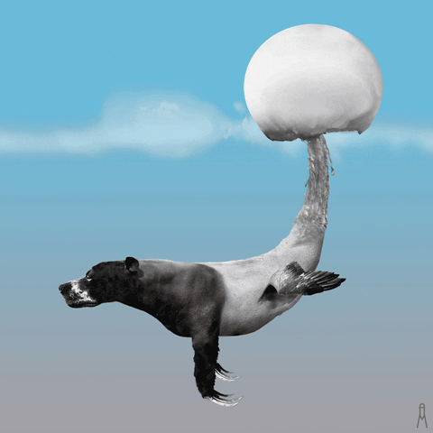 Gif Volador Volador Ceremony Hi Res Stock Photography And Images