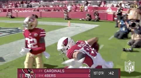 Arizona Cardinals Football GIF by NFL - Find & Share on GIPHY