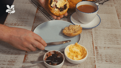 Vegan-scone GIFs - Get the best GIF on GIPHY