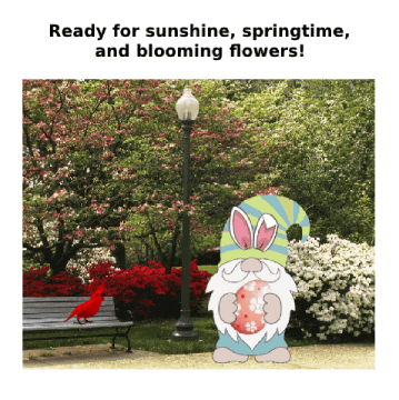 Blooming-flowers GIFs - Get the best GIF on GIPHY