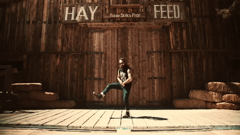 Horse Rugs GIFs - Find & Share on GIPHY