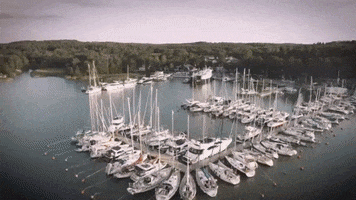 Nagu Distillery GIFs on GIPHY - Be Animated